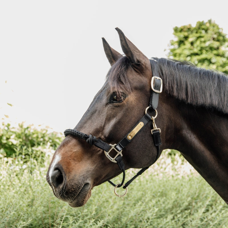 Kentucky Horsewear | Control Headcollar | Black