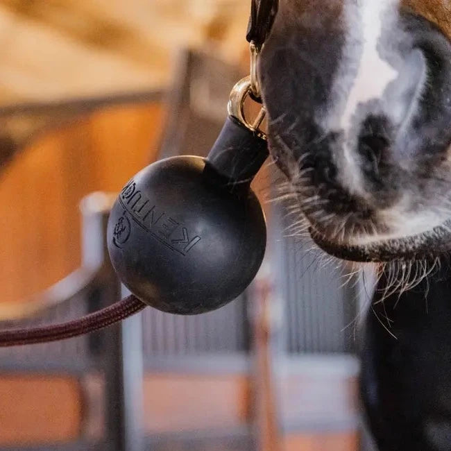 Rubber Ball Protection Lead & Wall